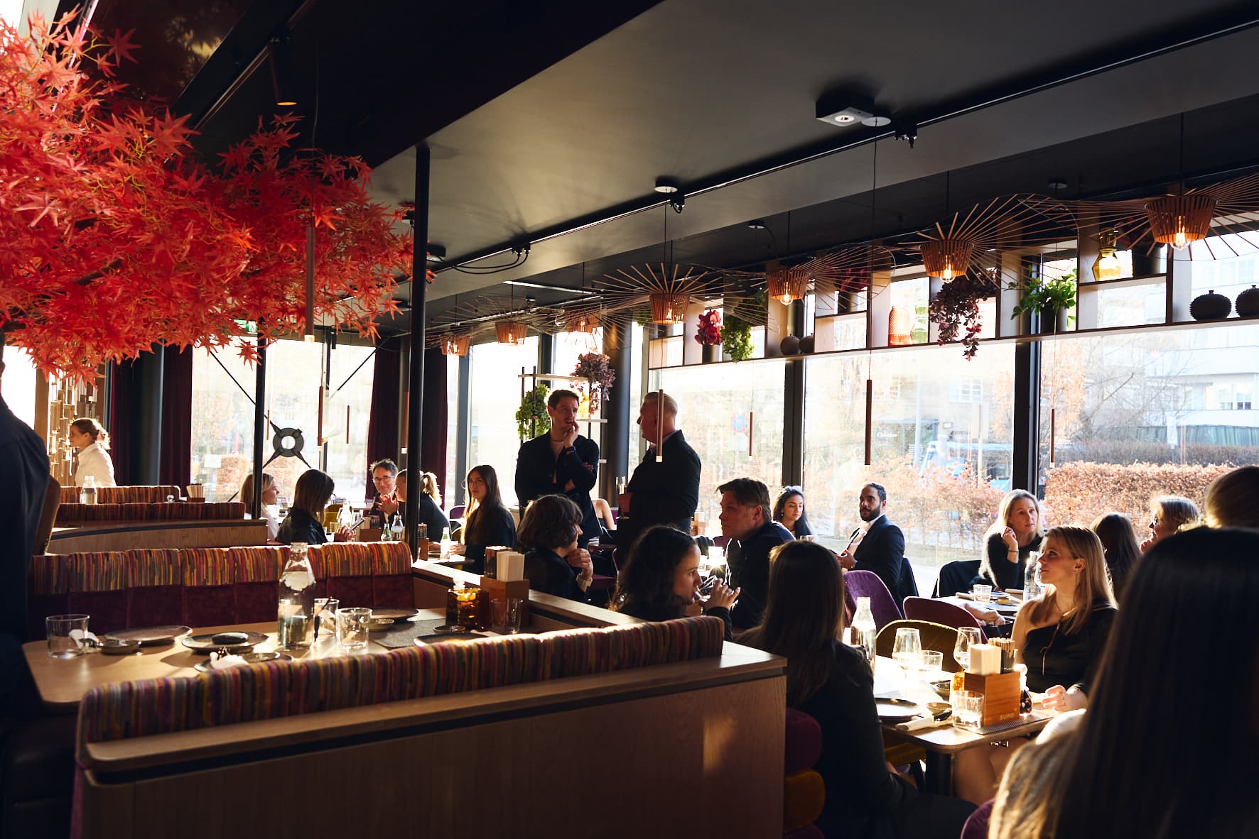 Reserver bord til middag, selskap eller firmafest | Sumo Restaurants