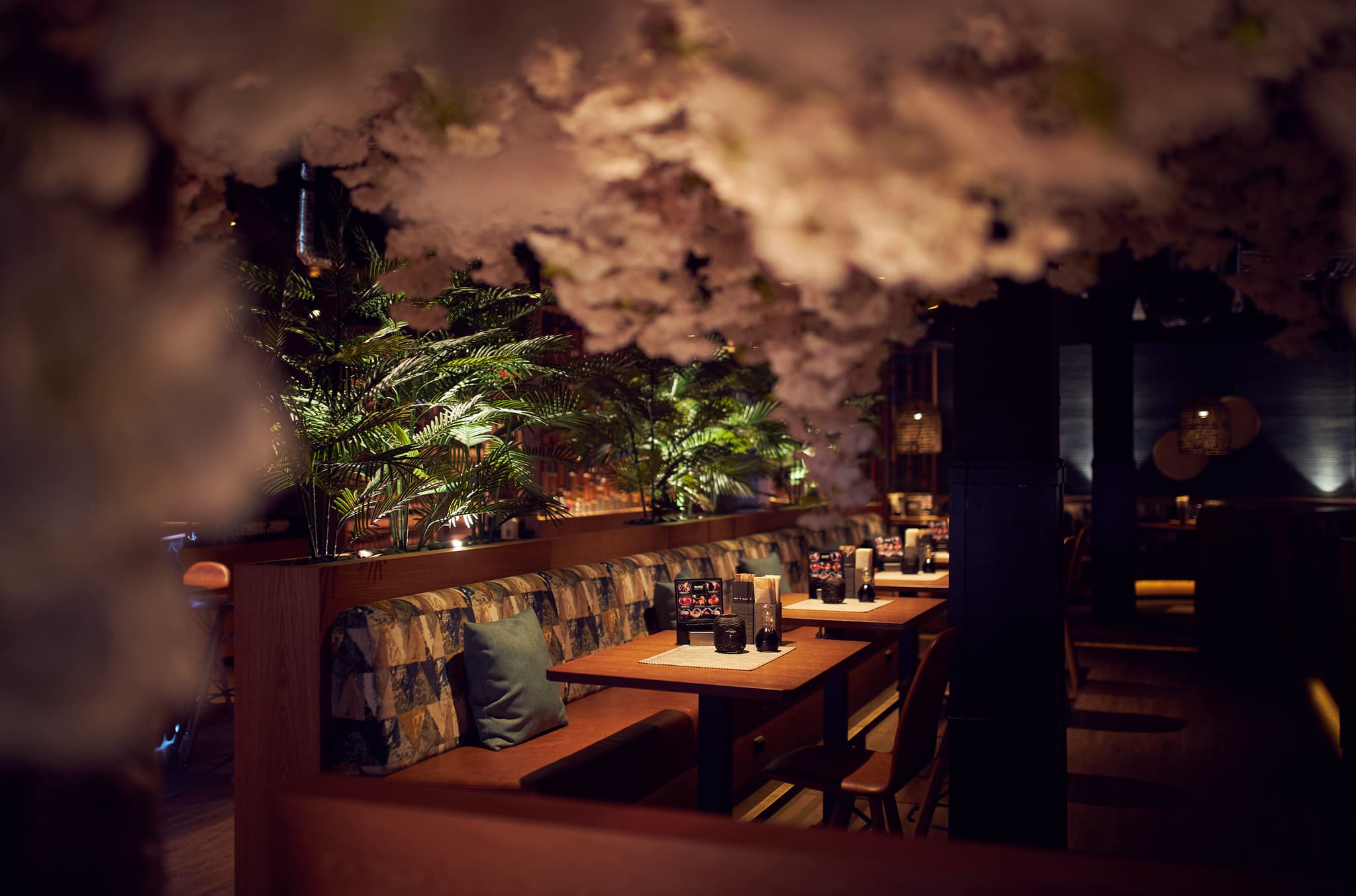 Beste Sushi i Stavanger Sentrum | Sumo Hall Toll